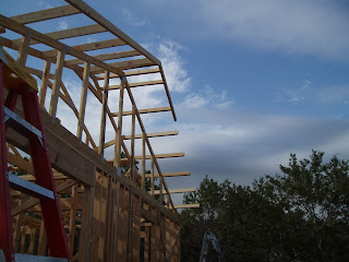 Morgan Homestead: Sub fascia and barge rafters