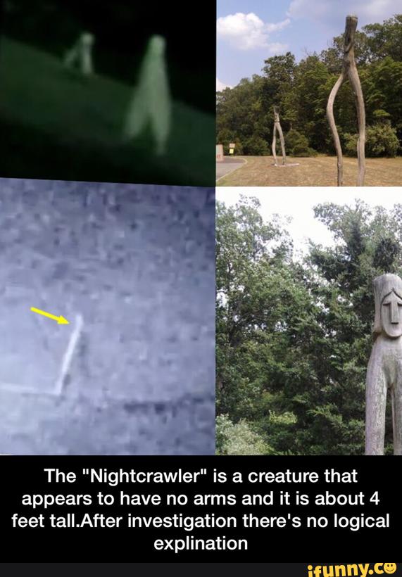 Tι είναι το Nightcrawler: Ένας θρύλος ή κάποιο ξεχασμένο είδος τη ...