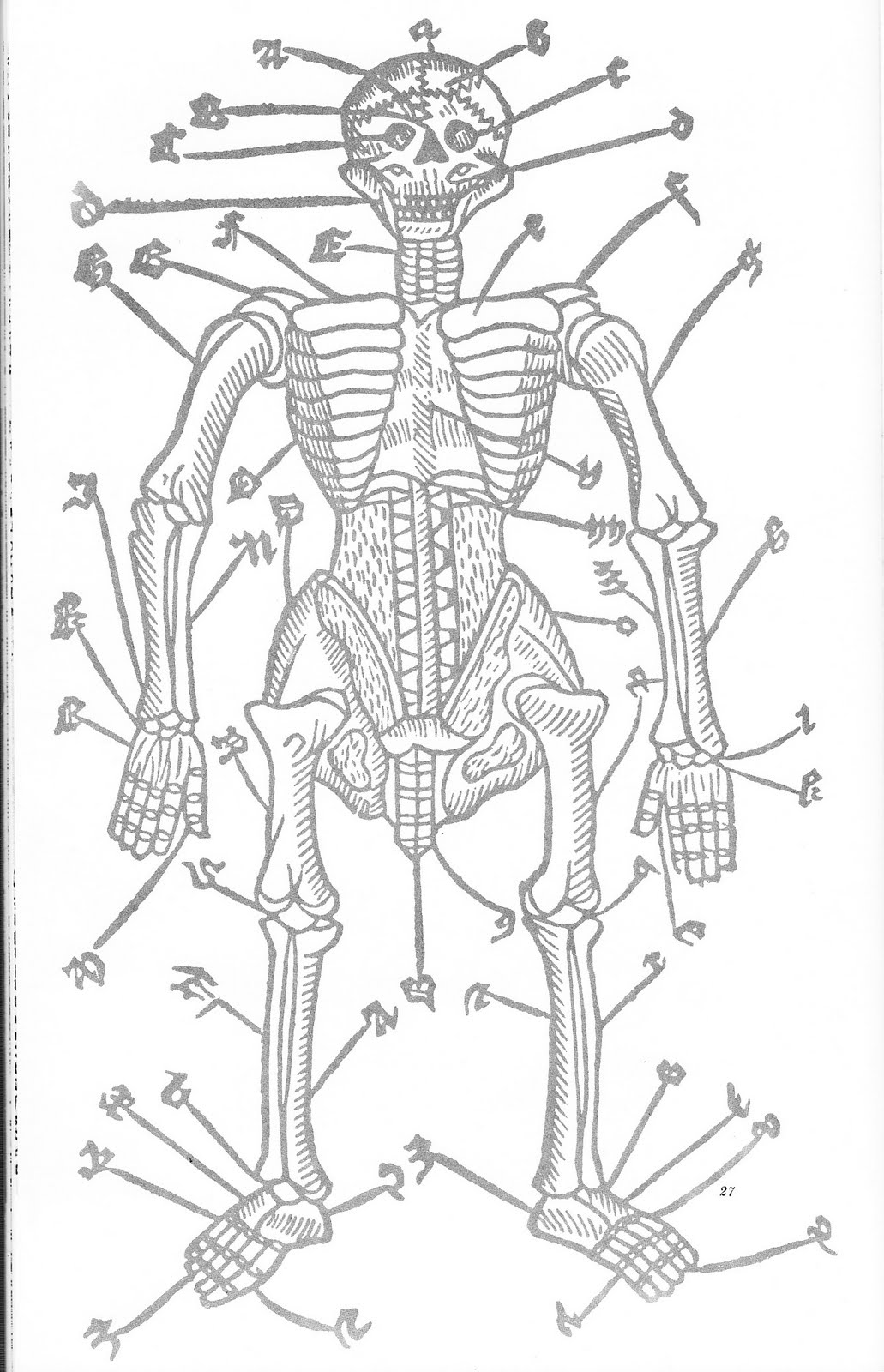 Sci/Why: A Pictorial History of Science