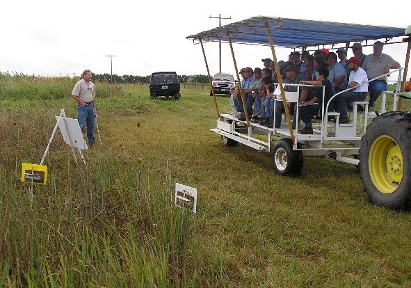 Missouri Beginning Farming: Bobwhite Quail and Native Pollinator Field ...