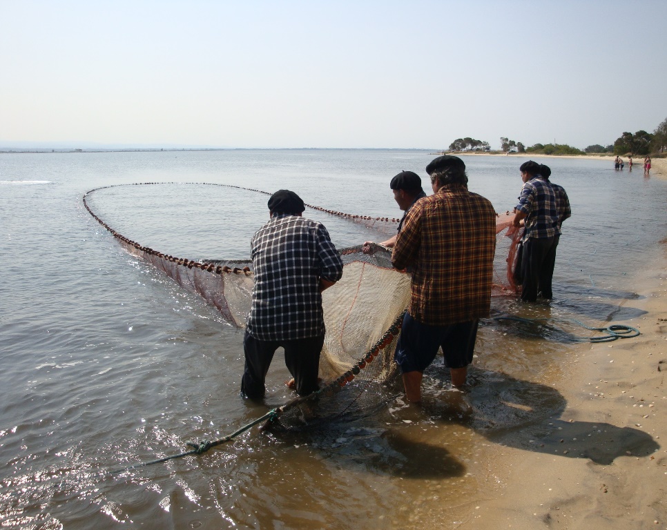 Marintimidades: Recriação da «pesca do chinchorro» na Torreira
