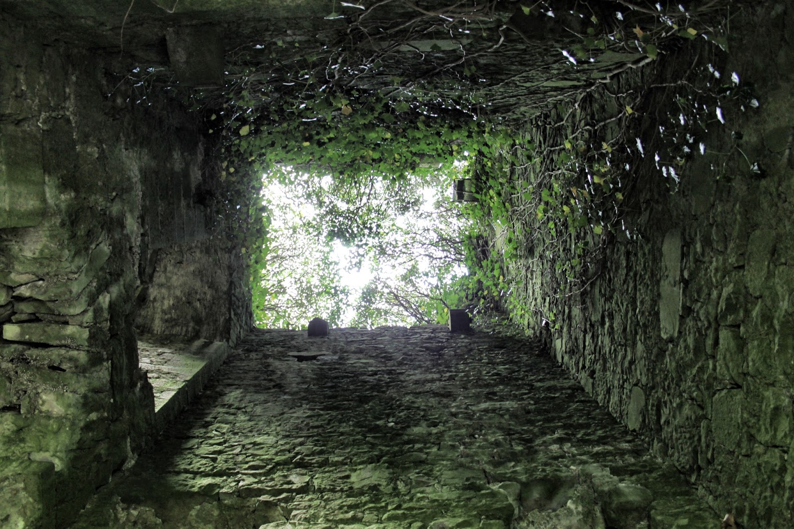 Historic Sites of Ireland: Ballintober Castle