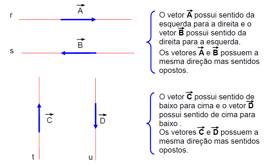 MINHAS AULAS DE FÍSICA: Vetor - definição