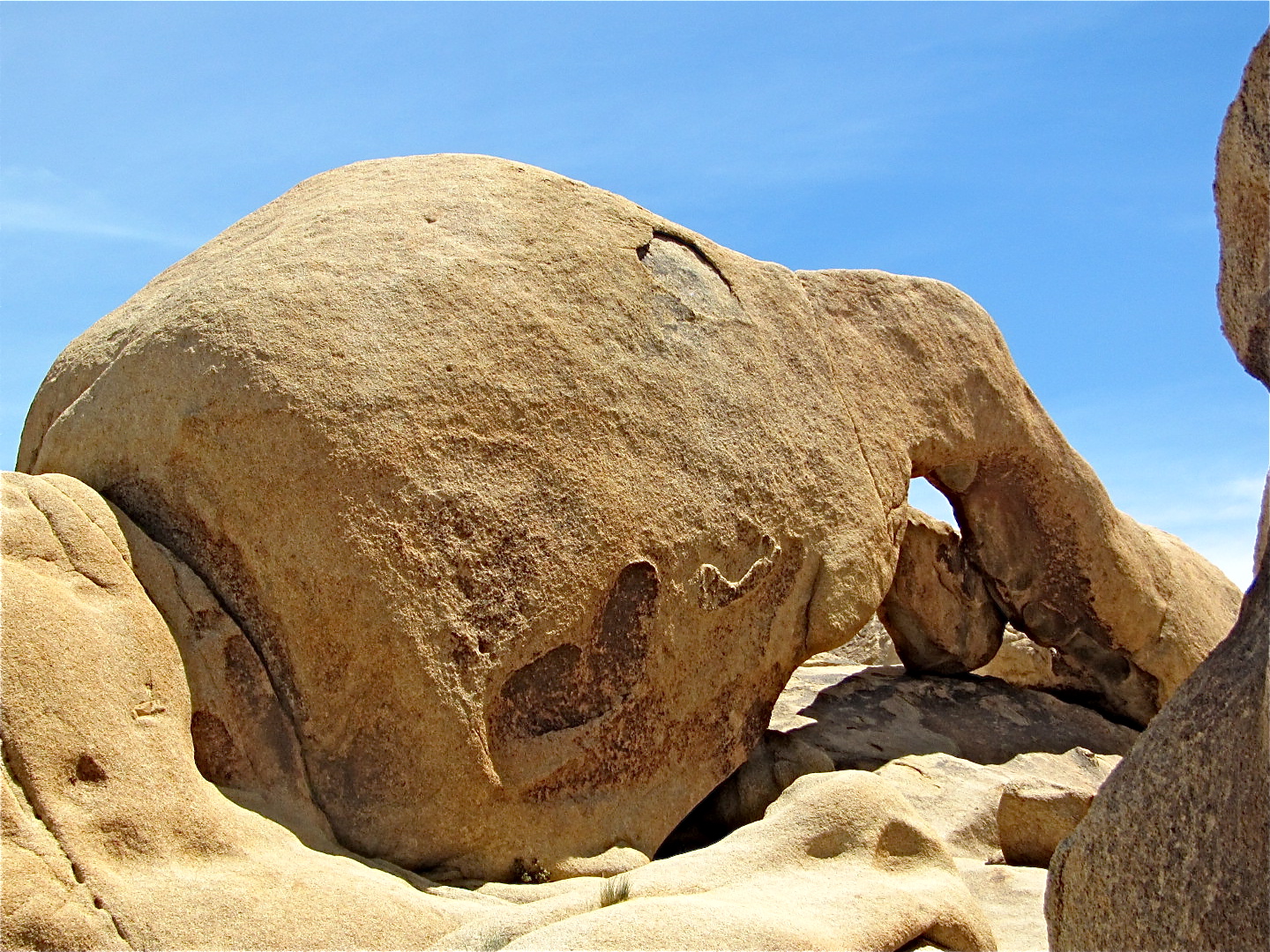 Travel With Whippets: Joshua Tree National Park: Skull Rock & Arch Rock ...