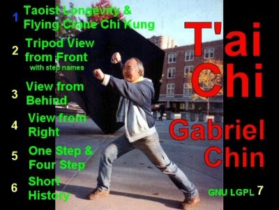 Internal Gong Fu: Tai-Chi Memories: My Meeting with Gabriel Chin