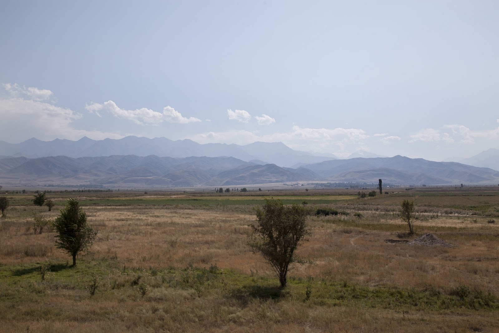 Fiyel Levent: Portrait of a Balbal