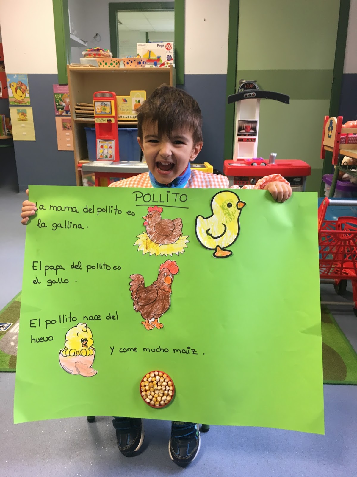 Cole de colores: LOS POLLITOS: ¿QUÉ COMEN? ¿DÓNDE VIVEN?