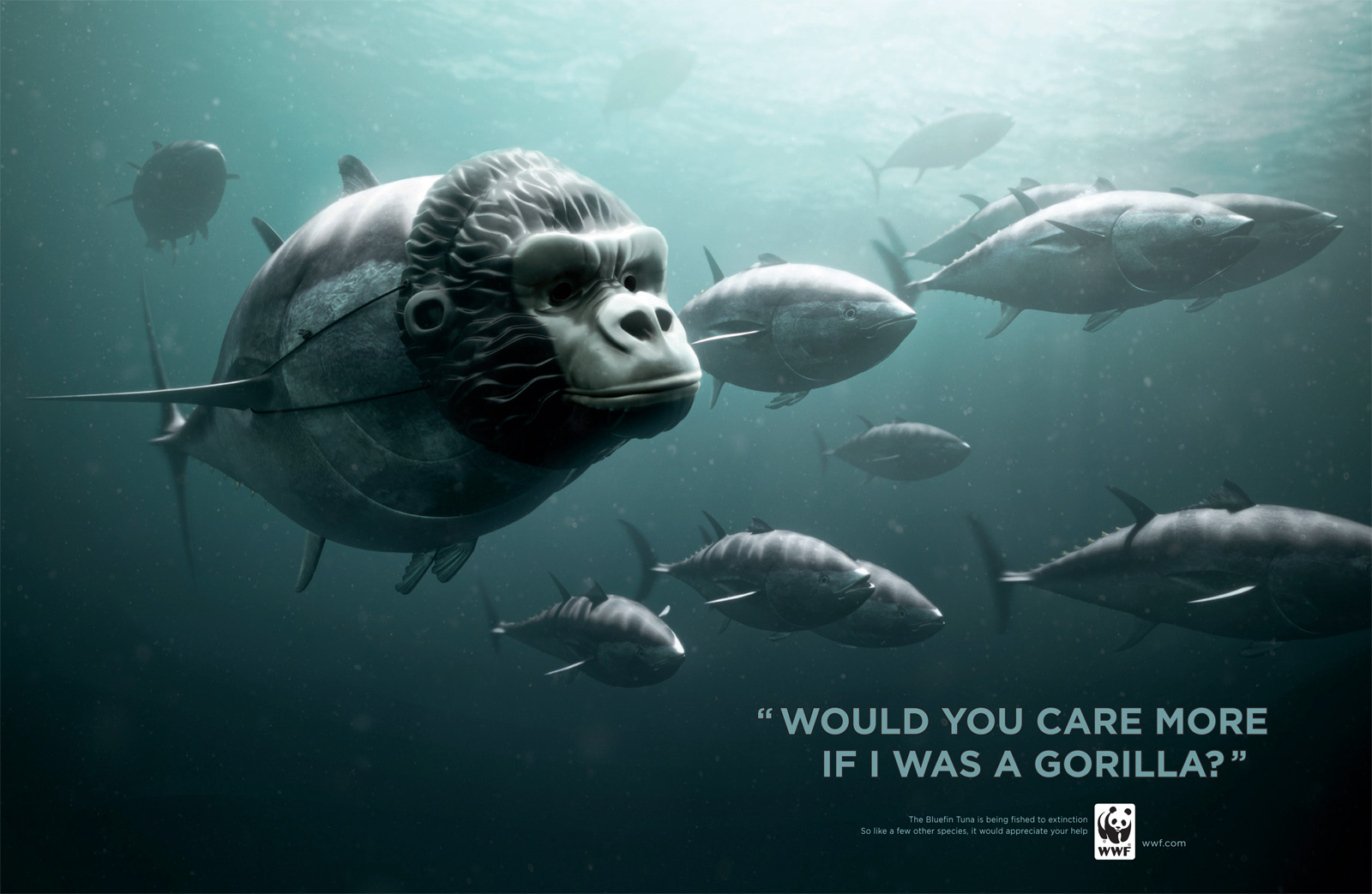 WWF Bluefin Tuna overfishing: Gorilla, Panda, Rhino