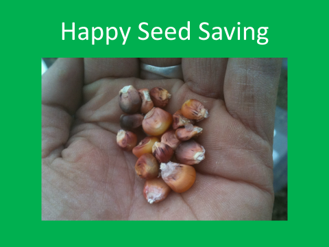 CO-Horts: Saving Seed