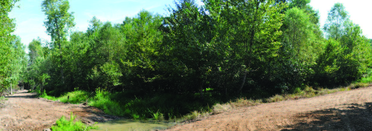 Whitetail Institute: Food Plot Location and Design Planning Food Plot ...