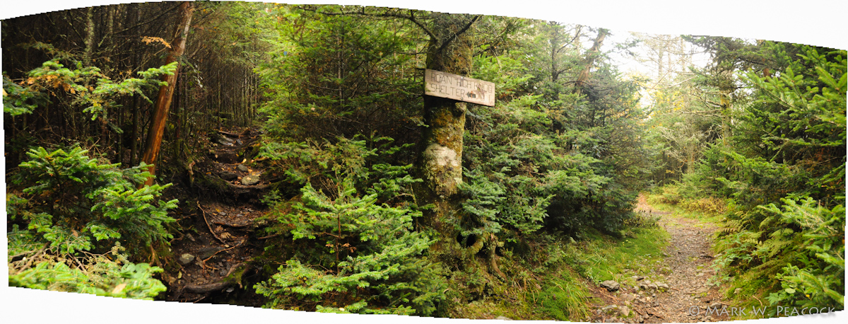 Appalachian Treks: Roan High Knob