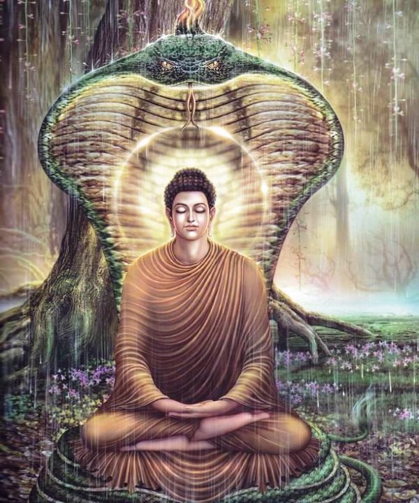 The Life Story of Lord Buddha-(with Images) ~ Dhamma Sota Vipassana ...
