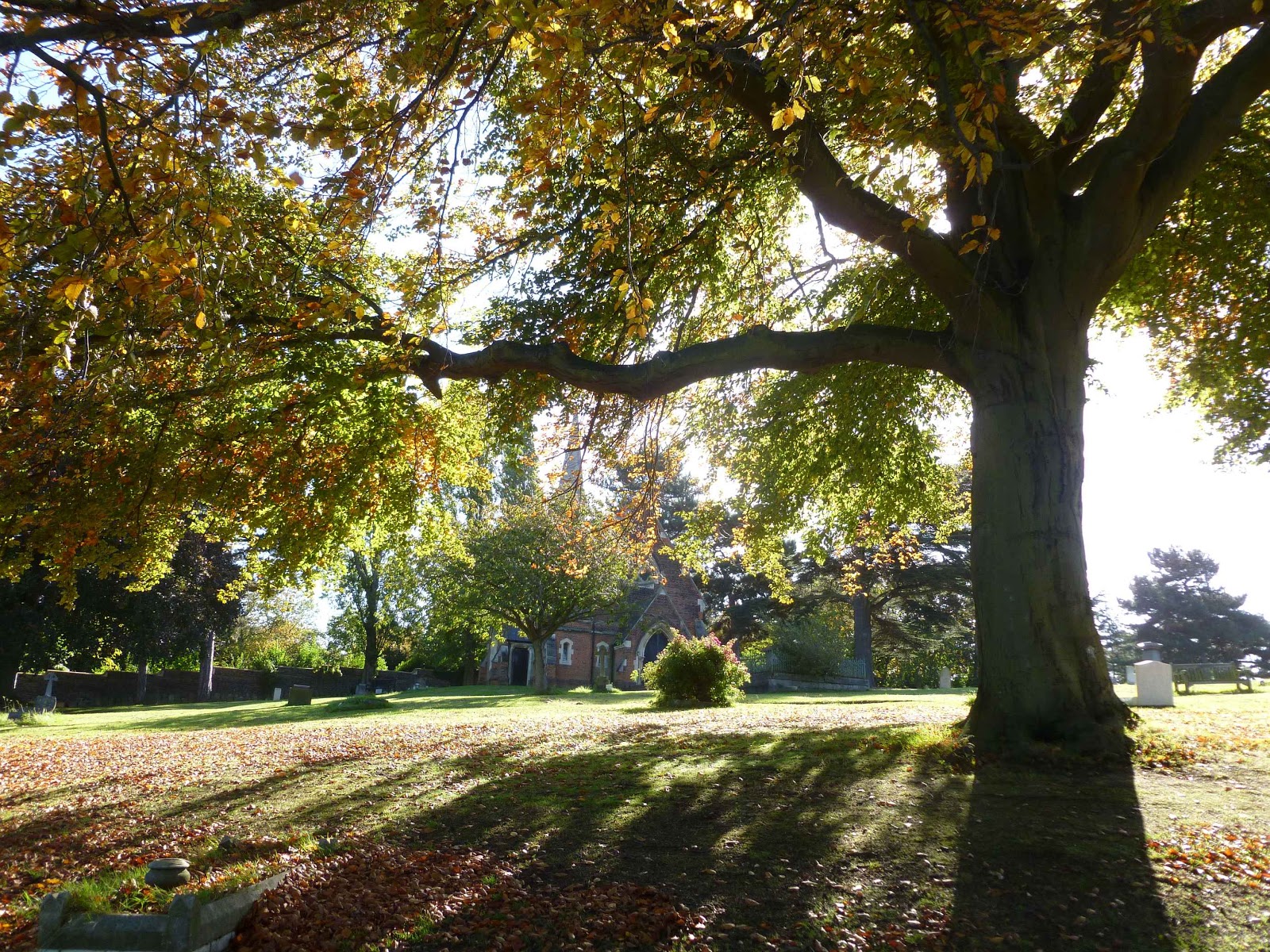 Woolwich Cemetery in the Royal Borough of Greenwich