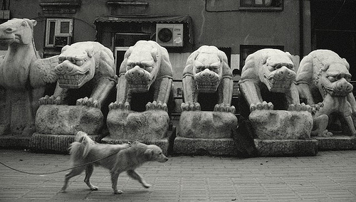 OLTRE IL MURO: ARTE e FOTOGRAFIA: JOE WIGFALL | PHOTOGRAPHER