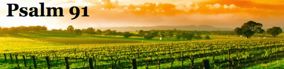 Da Mihi Animas: Psalm 91: A Soldiers Prayer