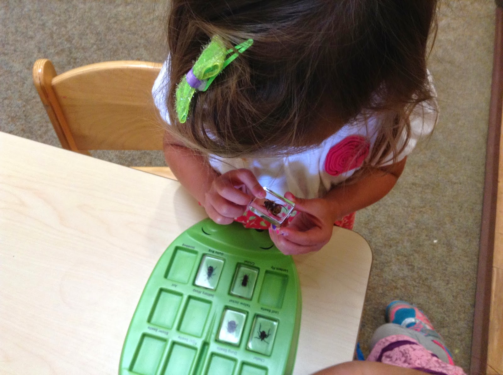 Munchkin Moments: Gross Bugs and Slimy Slugs