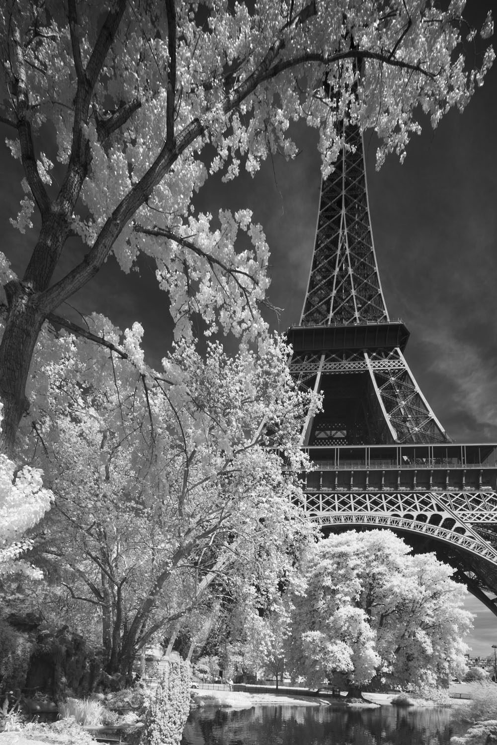 David Noton Photography