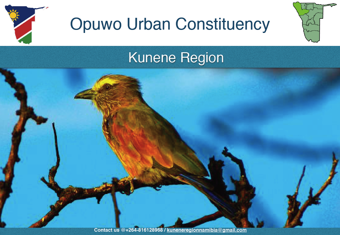 Opuwo Urban Constituency : Opuwo Urban Constituency