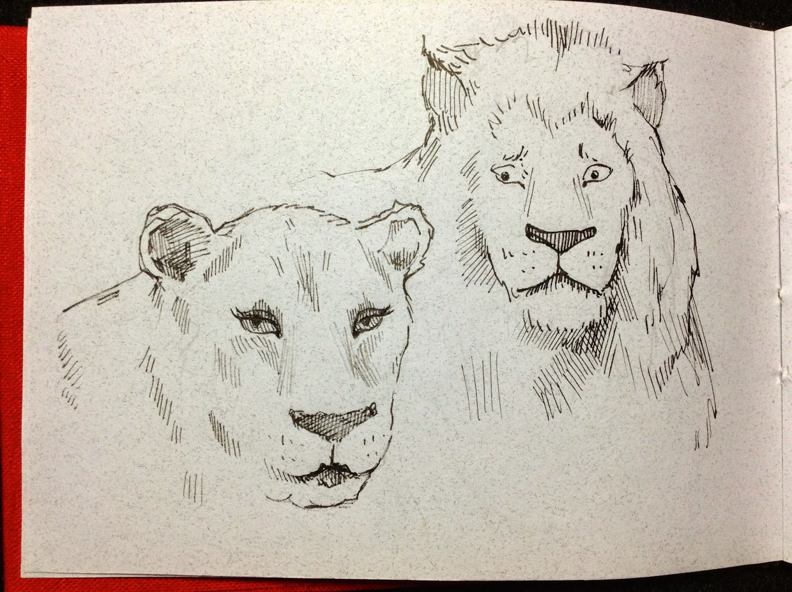 Ruby Rudnick's Sketchbook, Illustrations, and Other Projects: Animal ...