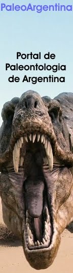 Noticias de Paleontologia: Megarachne servinei, de araña gigante a ...