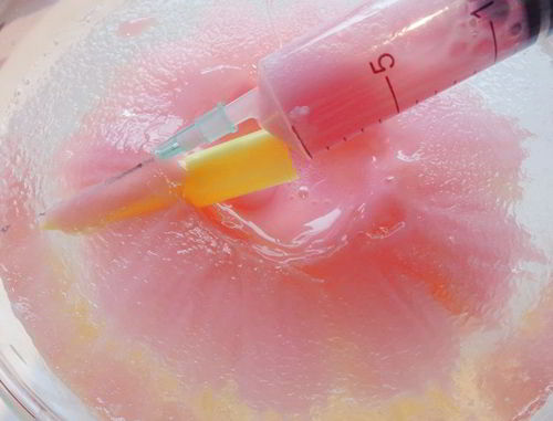 How to make beautiful 3d jelly from straw - Recipe-Mami