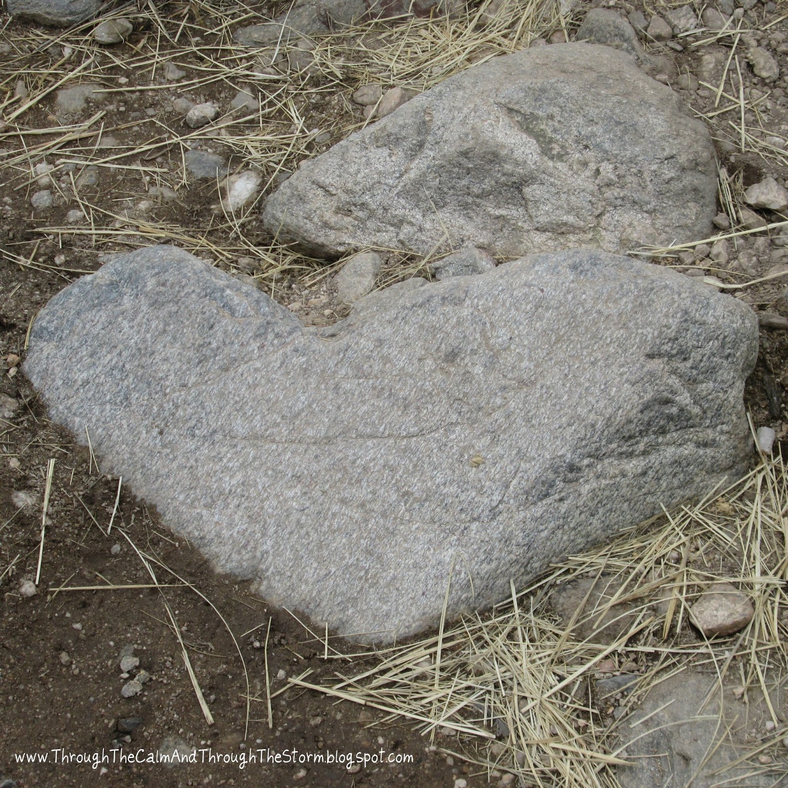 Through the Calm and Through the Storm: Heart of Stone {Scripture and a ...