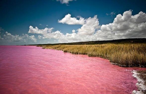 Mysteries: Pink Lakes