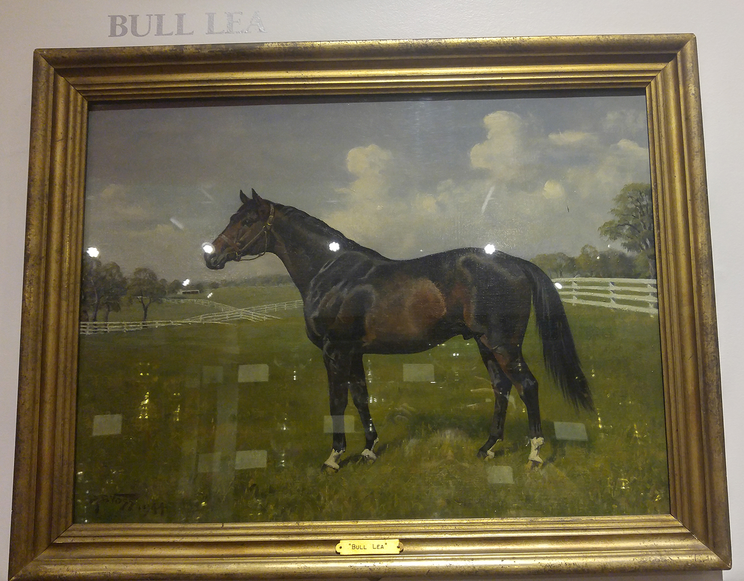 Model Horse Collectibility: May 2017