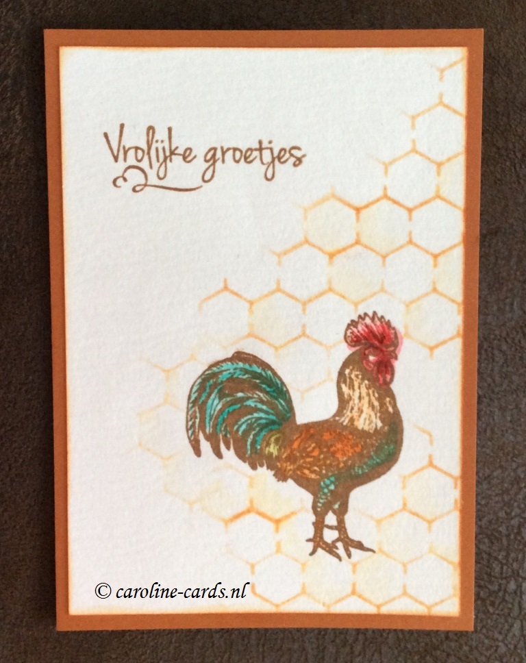 Caroline Cards: Vrolijke groetjes