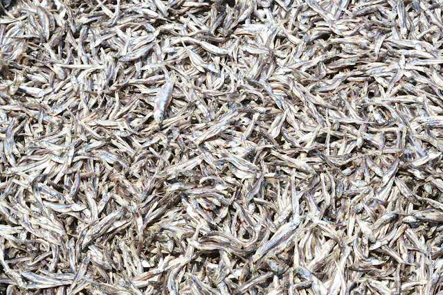 KAPIPI Jhabari.COM: AINA TANO ZA DAGAA WA KIGOMA!!!