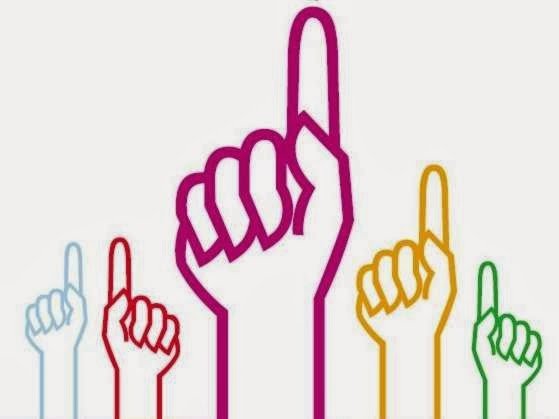 DEMOCRACIA PARTICIPATIVA: febrero 2014