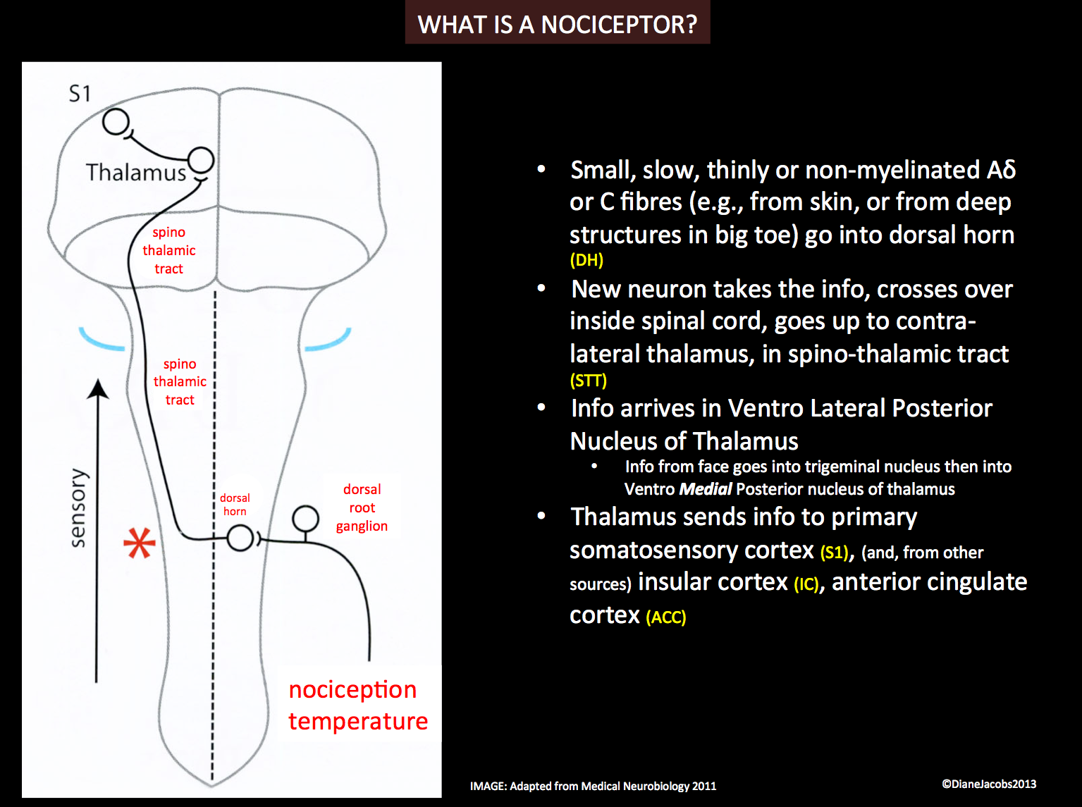HumanAntiGravitySuit: Nociceptive musings2