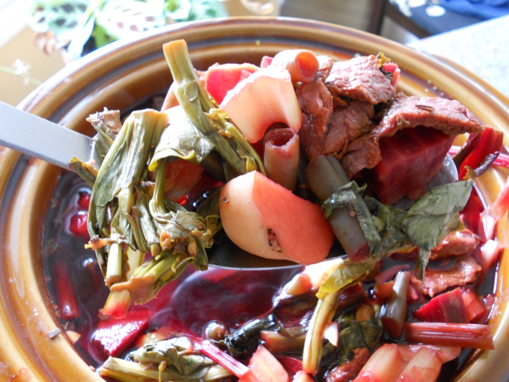 Snacking Squirrel: Crock Pot: Bison Potato Beet Stew in Miso Broth