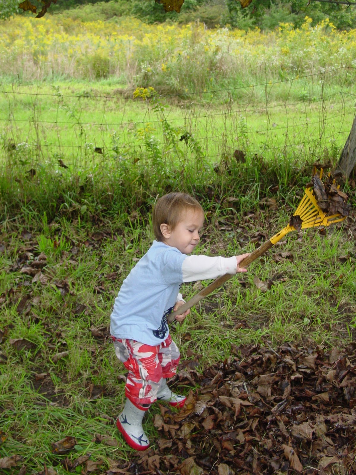 Alpine Children's House: More pictures of children doing good work.