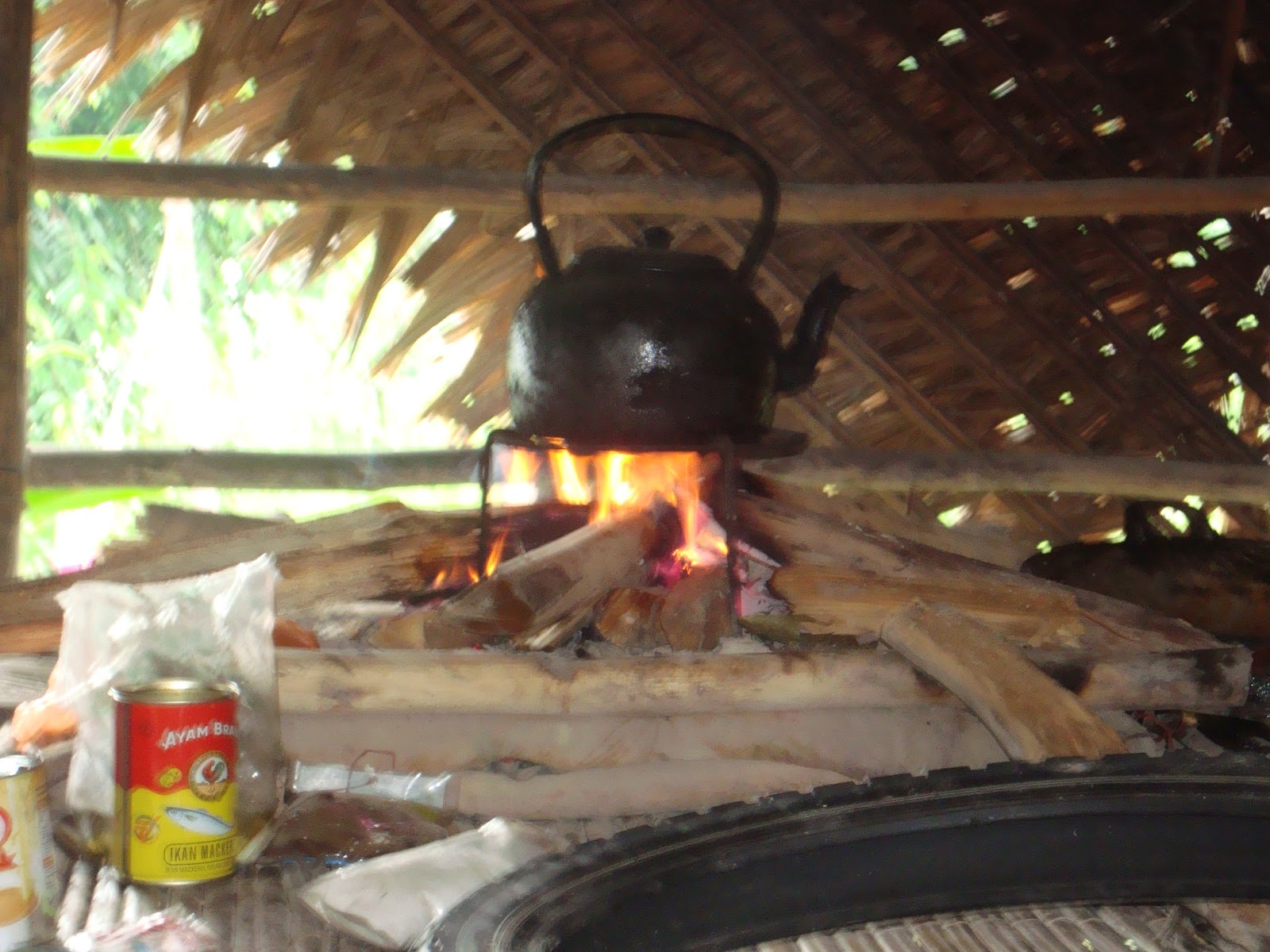 Zainatul Shuhaida: LATAR BELAKANG ORANG ASLI CHE WONG