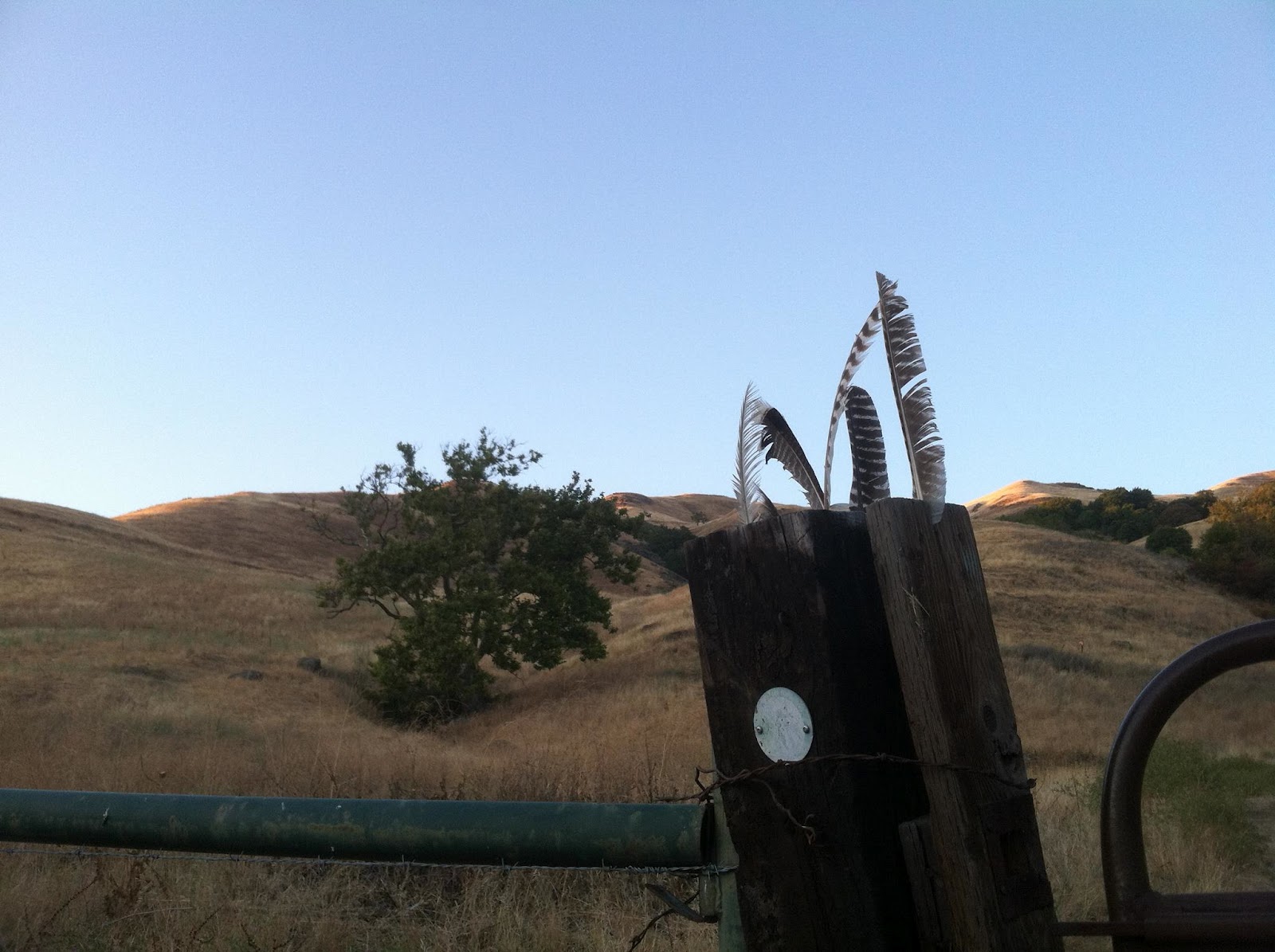 Dipper Ranch: Art Like Djerassi Art