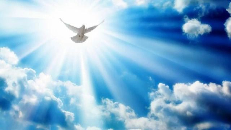 IV. Tanda Dan Bukti Dipenuhi Roh Kudus | GM | Satu Dasawarsa