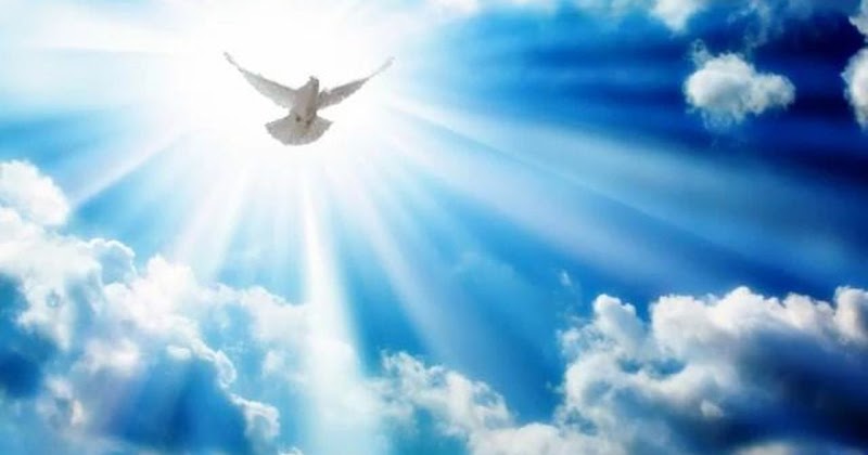 IV. Tanda Dan Bukti Dipenuhi Roh Kudus | Menjawab Bualan Kafir