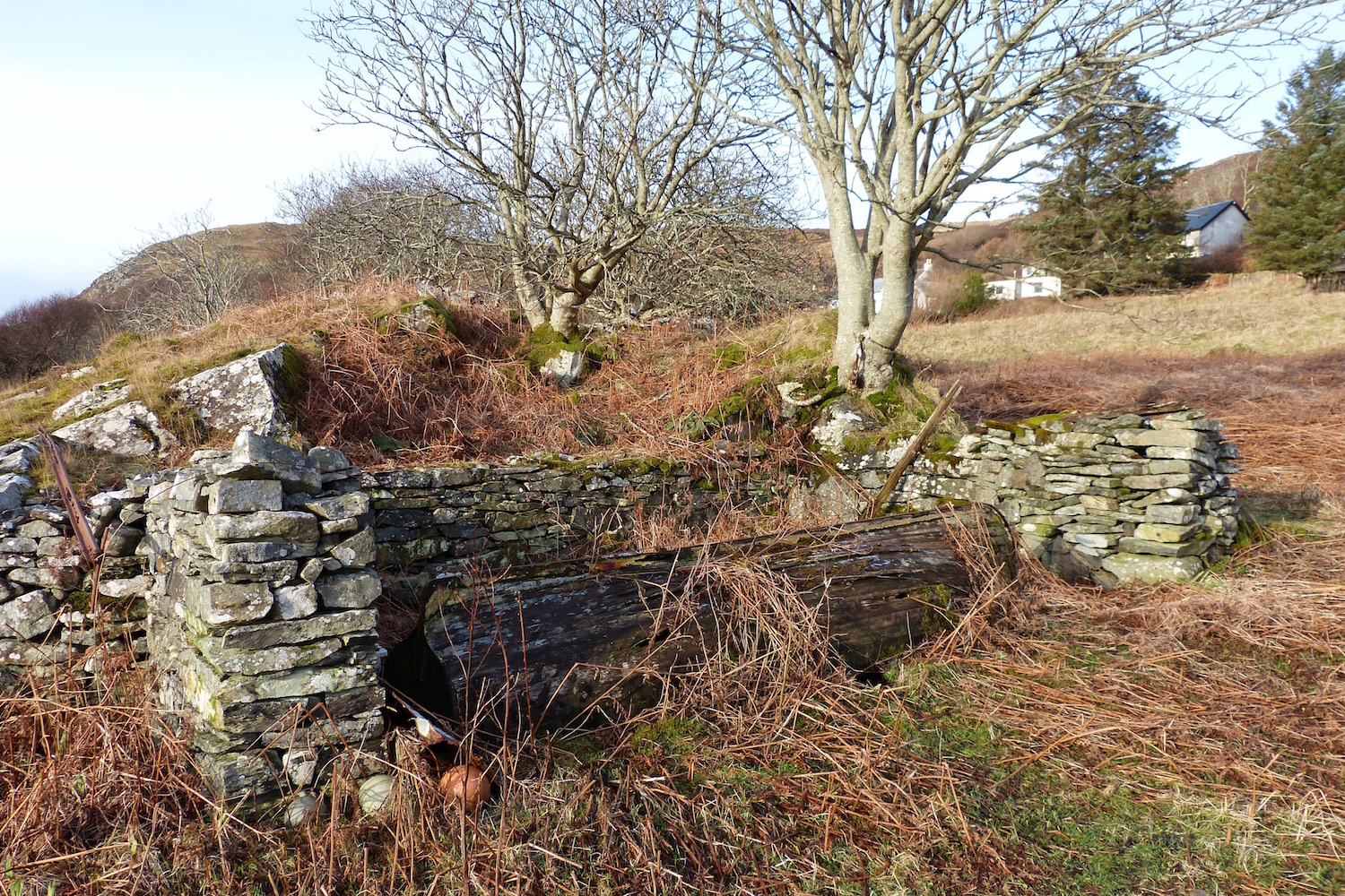 A Kilchoan Diary: A 'Naust'