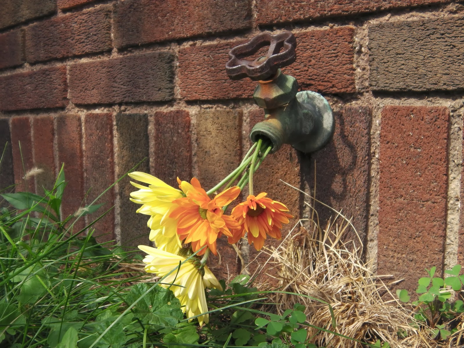 Allison Paciorka ARTDES Blog: Photographic themes - Objects in a place ...