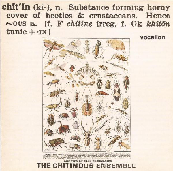 inconstant sol: The Chitinous Ensemble - Chitinous - Deram 1971