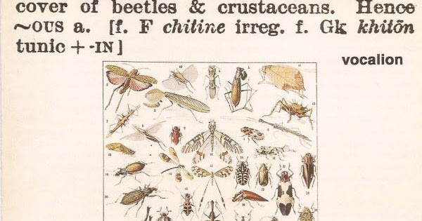 inconstant sol: The Chitinous Ensemble - Chitinous - Deram 1971