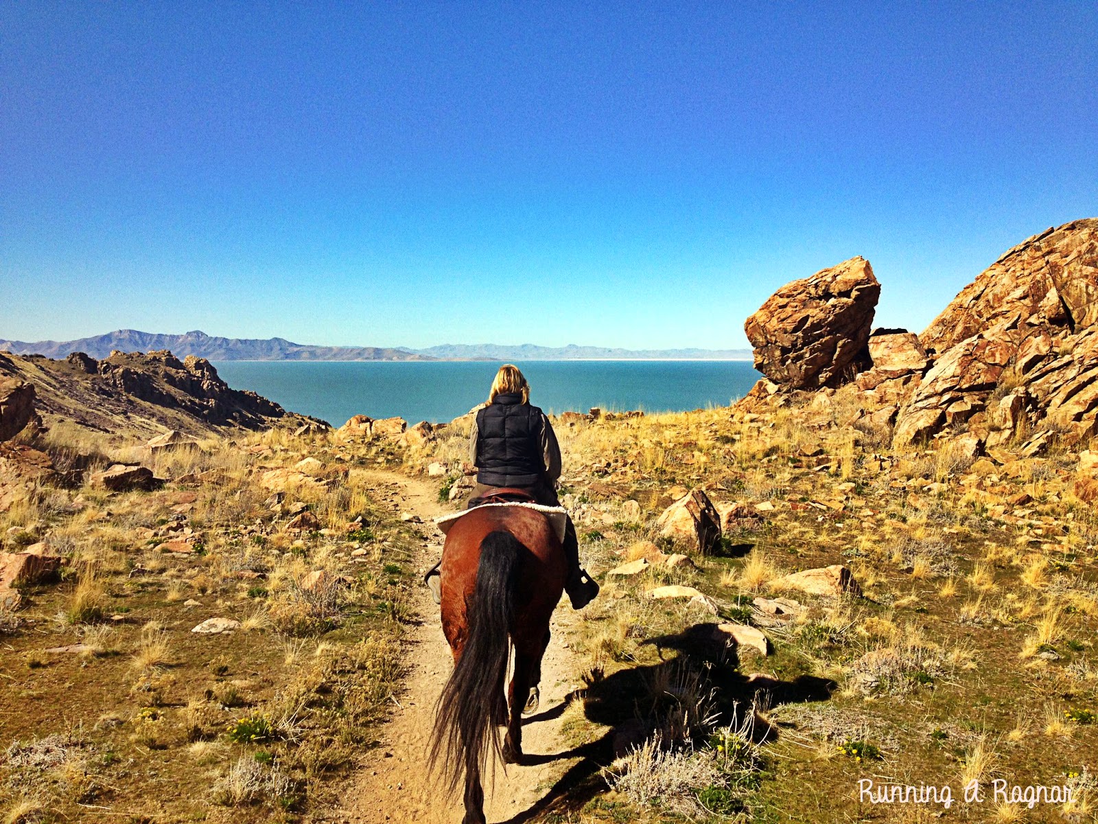 Katie Wanders : Horseback Riding on Antelope Island, Utah