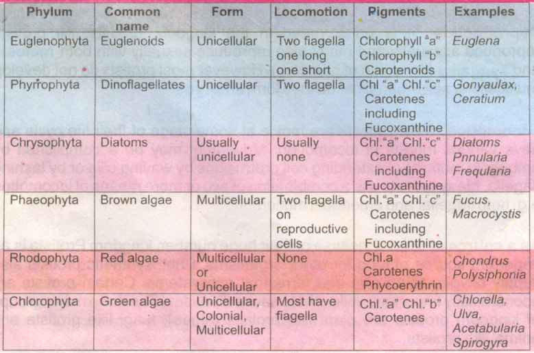 Knowledge Class: Plant like Protists the Algae