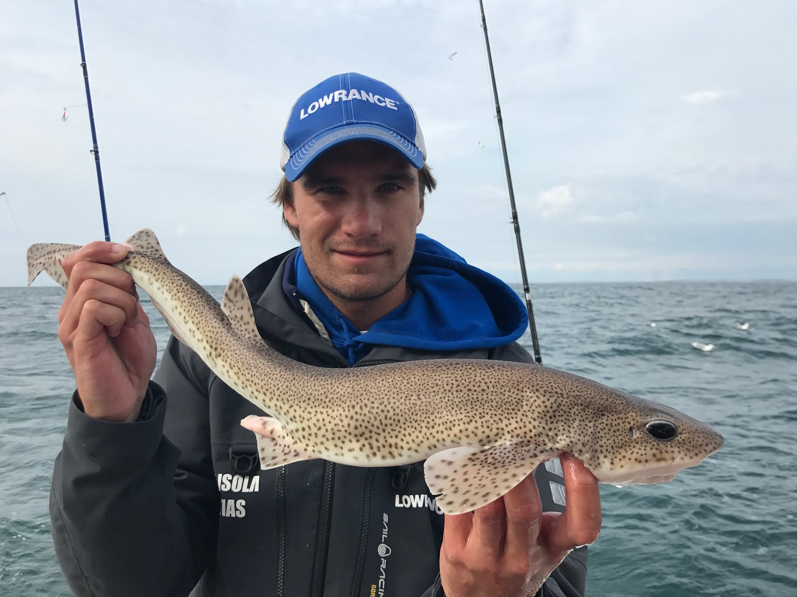 Team Isola: Småfläckig rödhaj & knaggrocka!