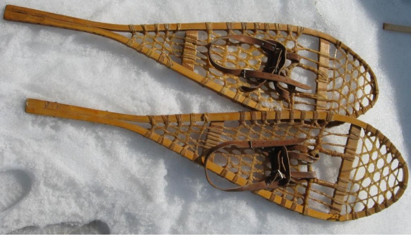 Le blogue des "Bleuets du Lac Saint-Jean": janvier 2016