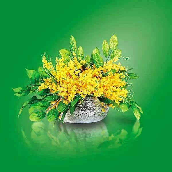 2014 ThinGyan | MP4 YoU world