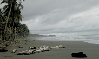 Objek Wisata di Kabupaten Sarmi - Papua Untuk Semua | Informasi Berita ...