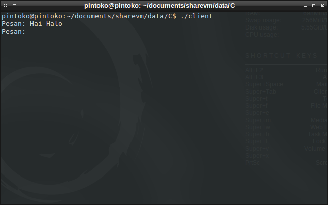 Nostra Technology: Membuat Iterative Server Dengan Socket Dalam Bahasa C