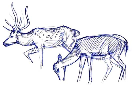 Art by Jeane Nevarez: axis deer